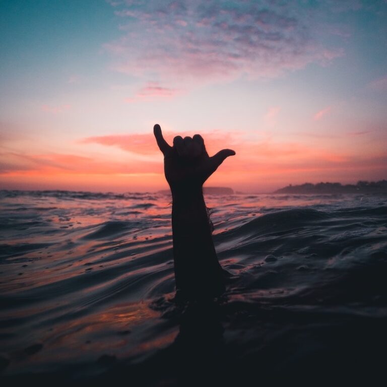 Surf Shaka - AsiaSurf.com